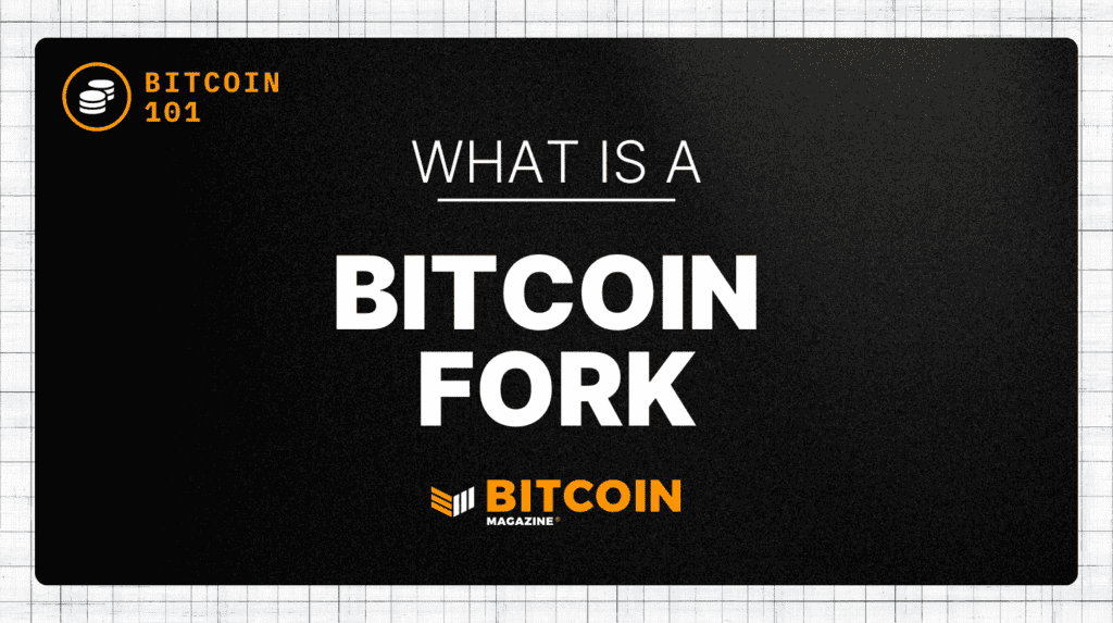 What Are Bitcoin Forks?